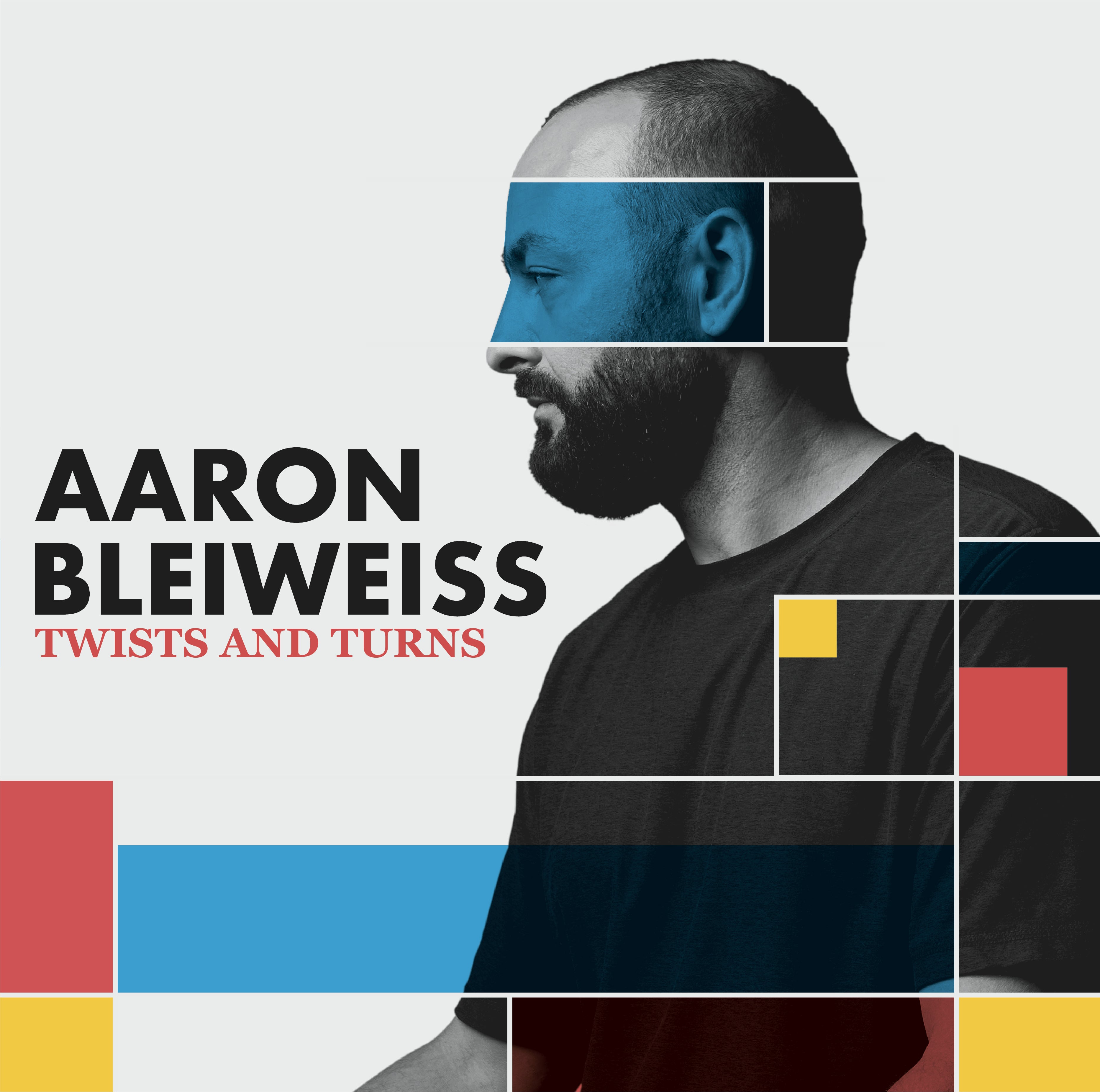 Twists and Turns Vinyl Record | AARON BLEIWEISS